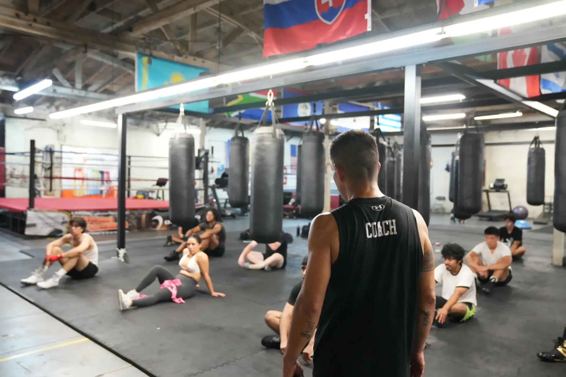 The Collegiate Boxer