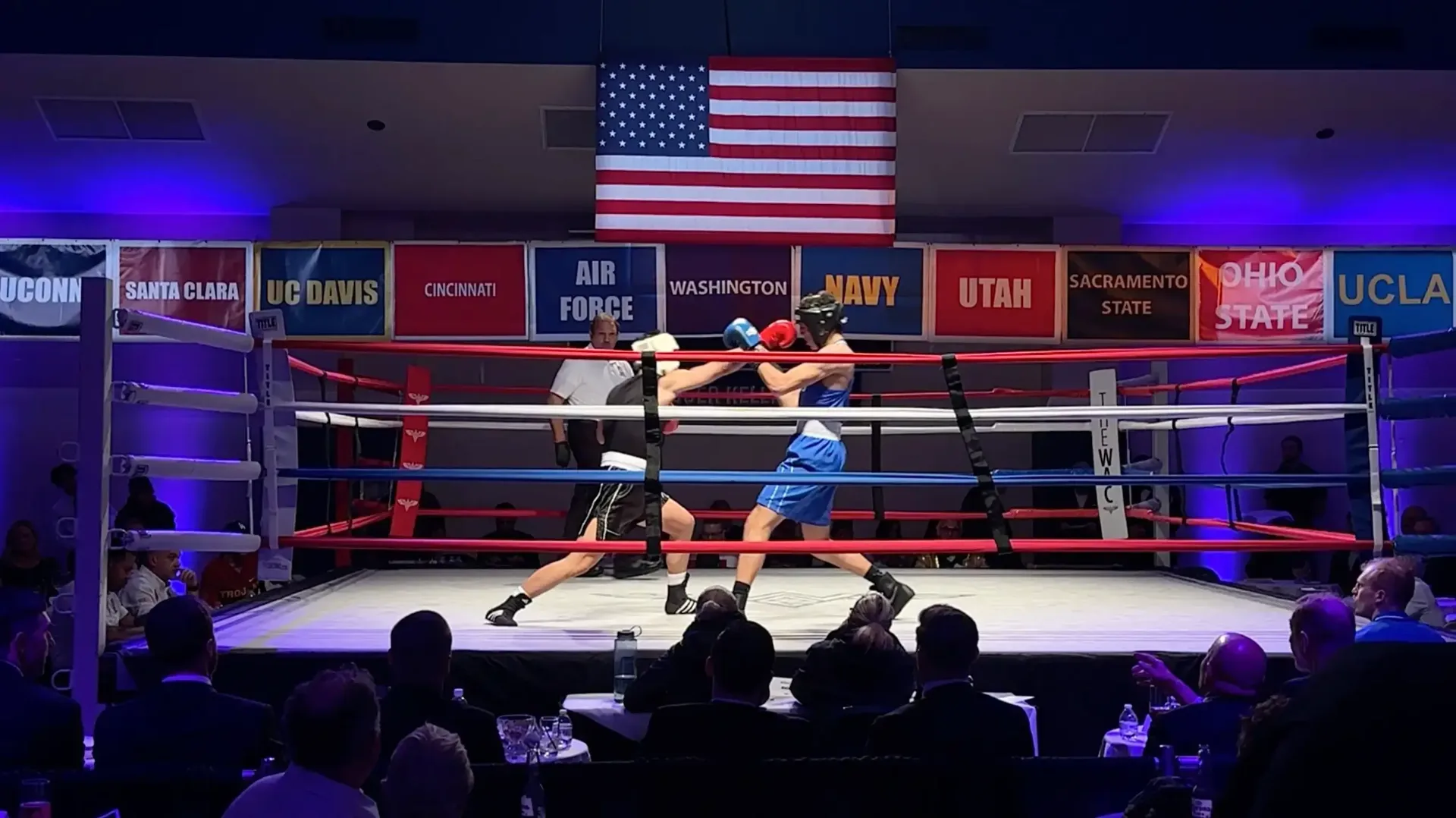 The Collegiate Boxer